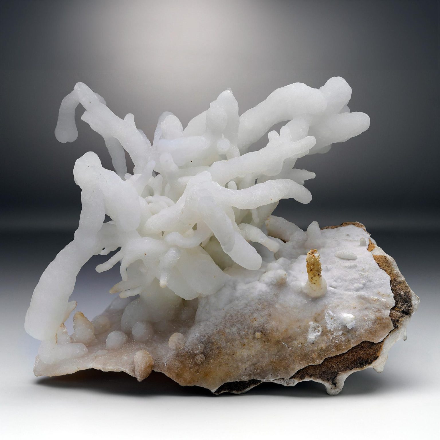 Calcite Stalactites with Druze From China - Astro West