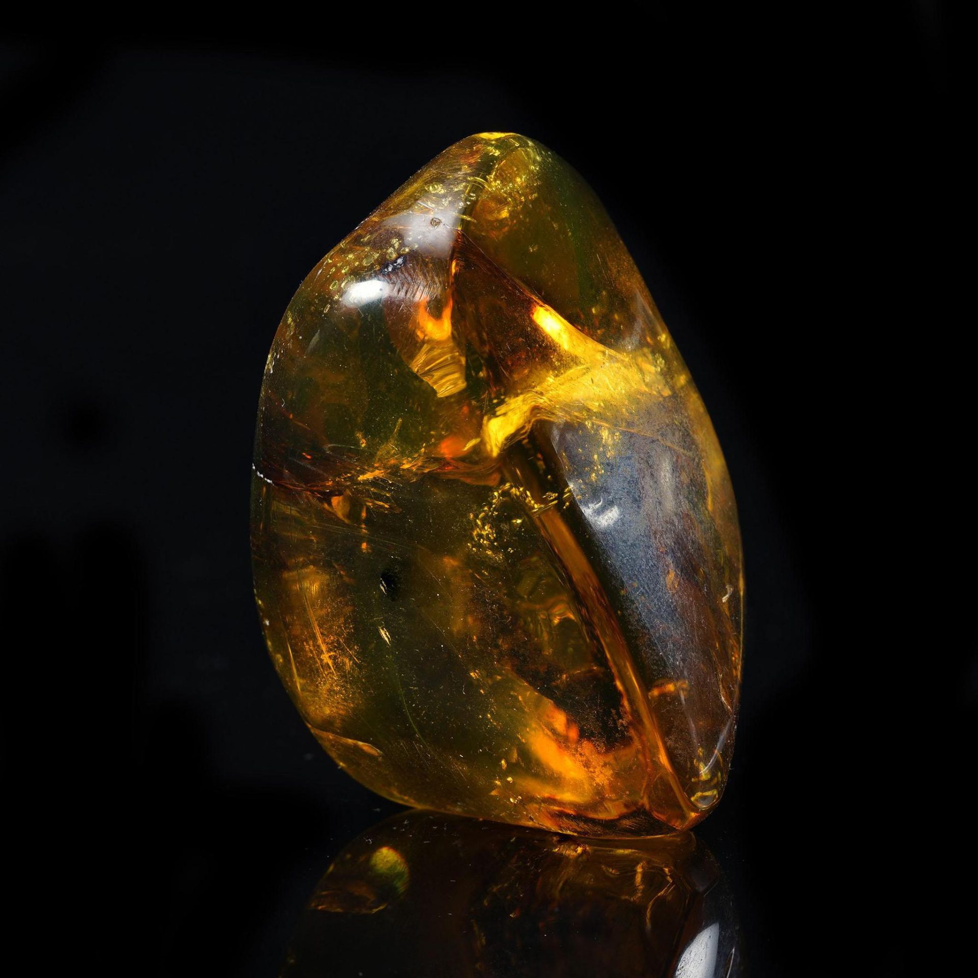 Mexican Amber with Leaf Inclusion – 26g - Astro West