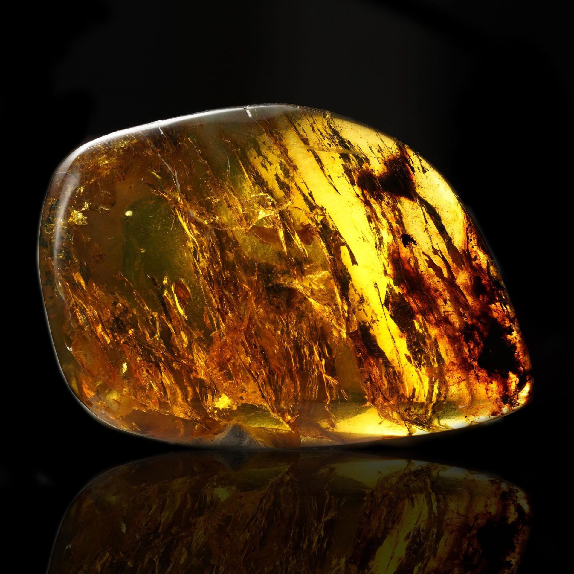 Mexican Amber – 21g - Astro West