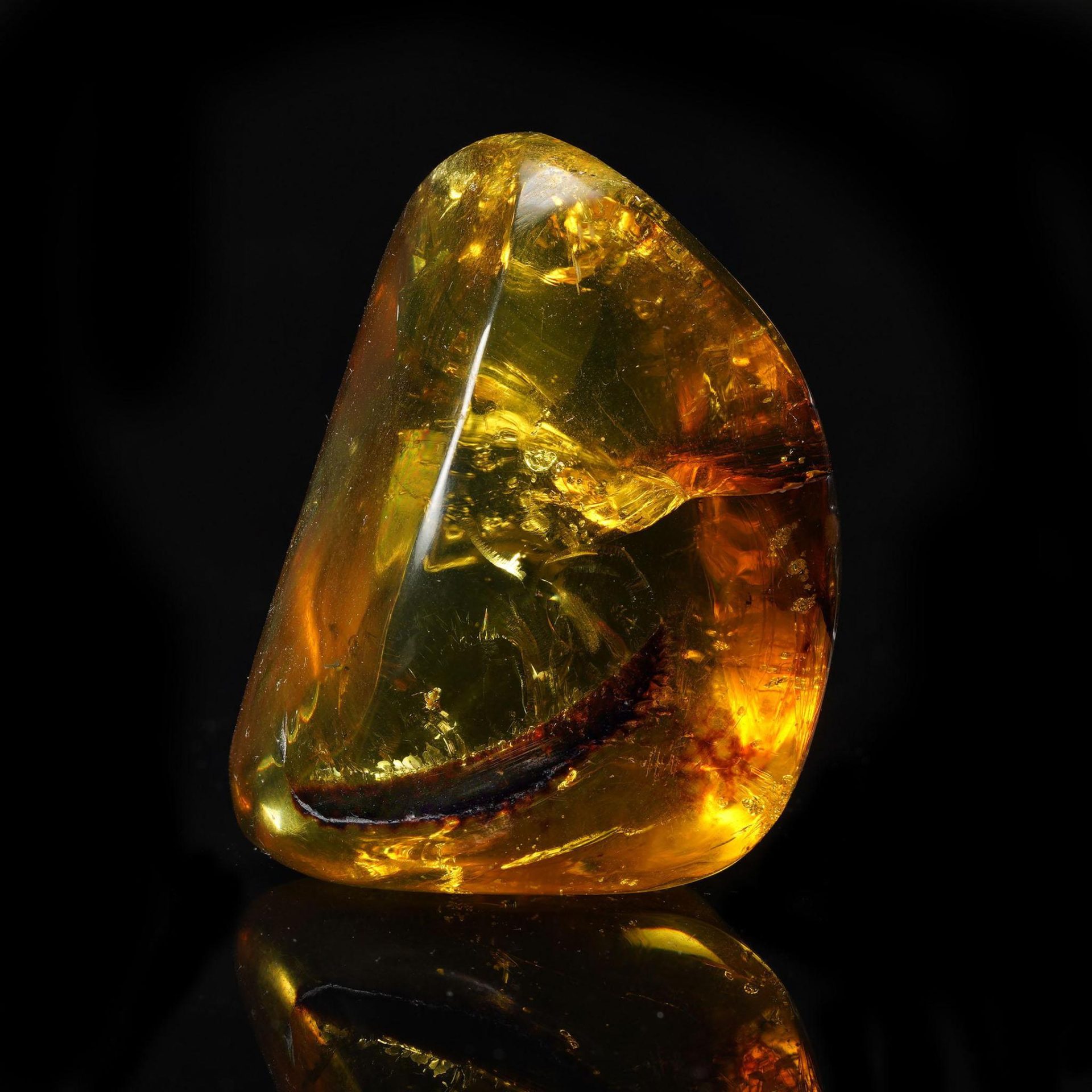 Mexican Amber with Leaf Inclusion – 26g - Astro West