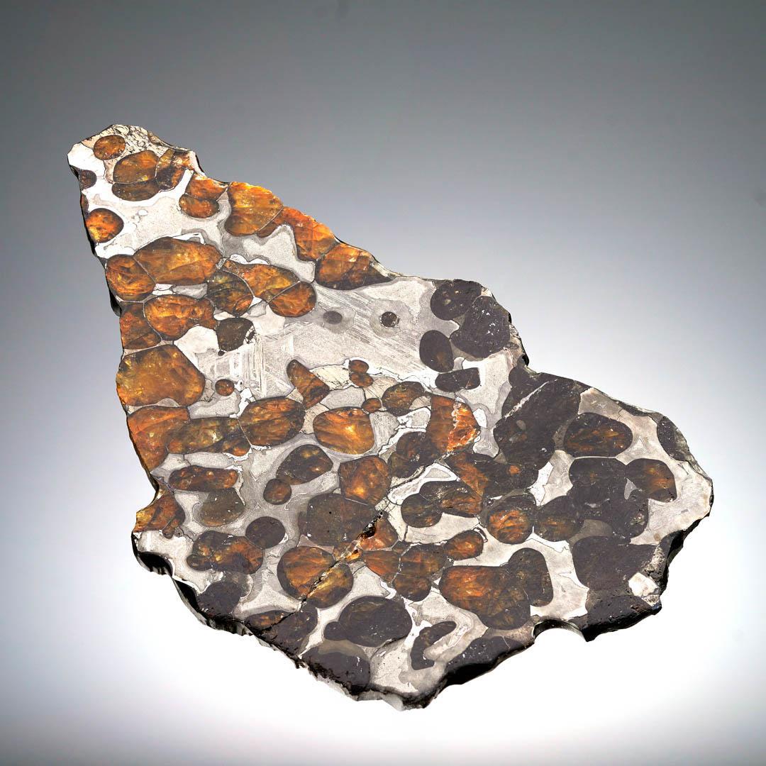 55.77 Gram Seymchan Pallasite Meteorite Slice - Astro West