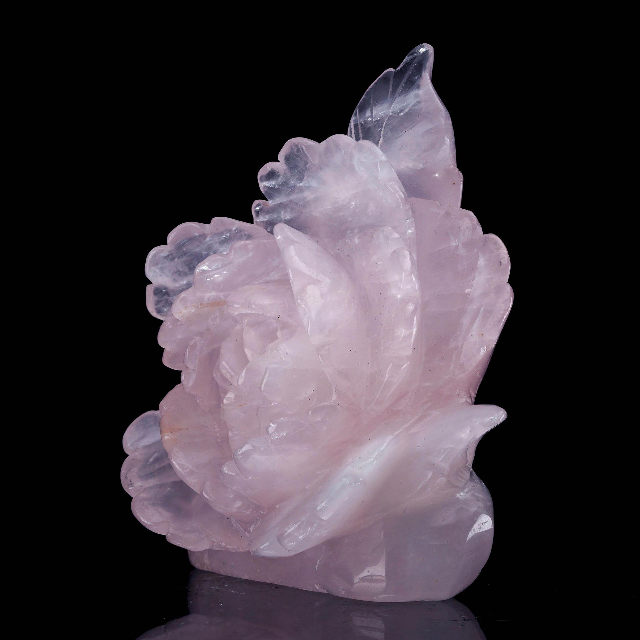Brazilian Rose Quartz - 2.2lb - Astro West