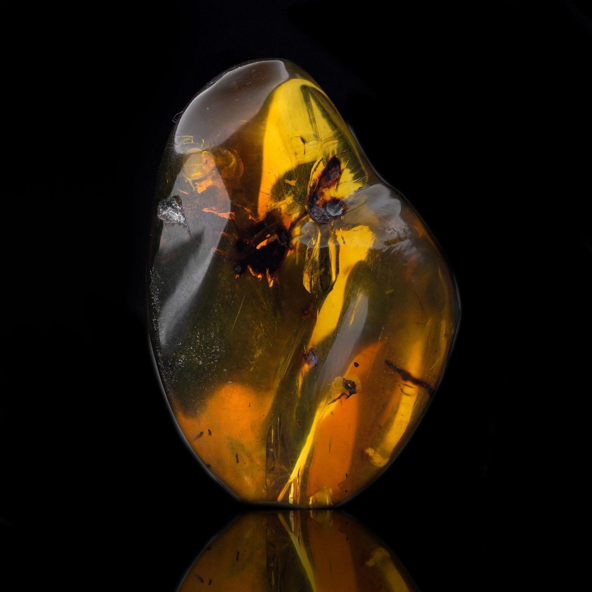 Mexican Amber – 14g - Astro West