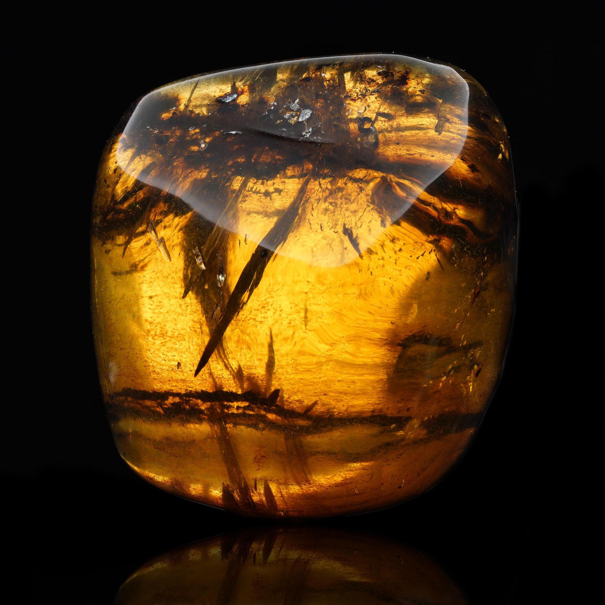 Mexican Amber – 30g - Astro West