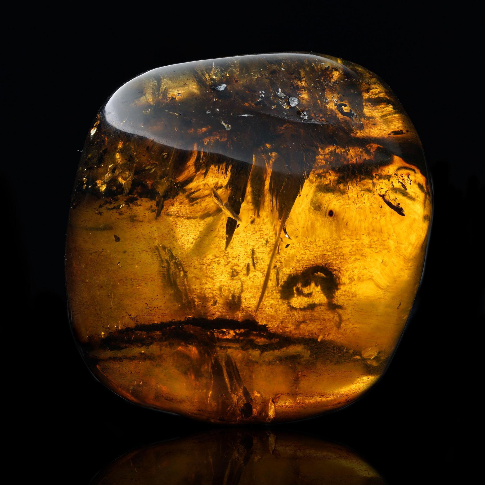 Mexican Amber – 30g - Astro West