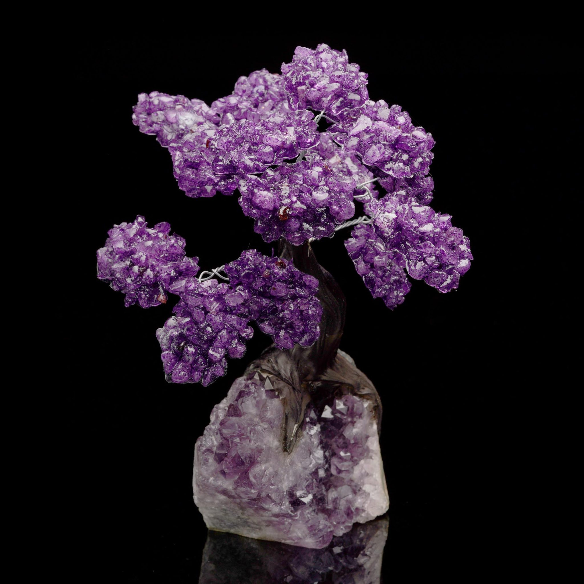 Genuine Amethyst Gem Tree on Amethyst Cluster Base - Astro West