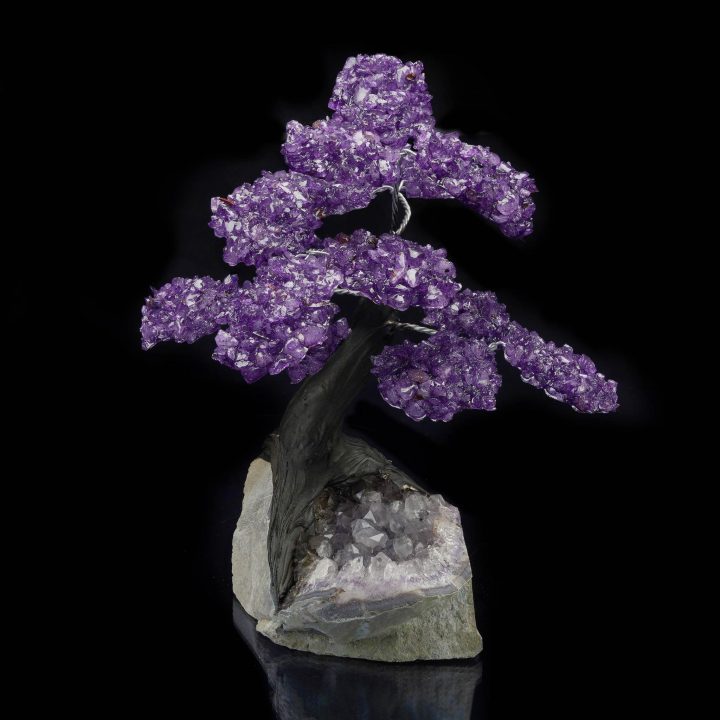Small Amethyst Tree - Astro West