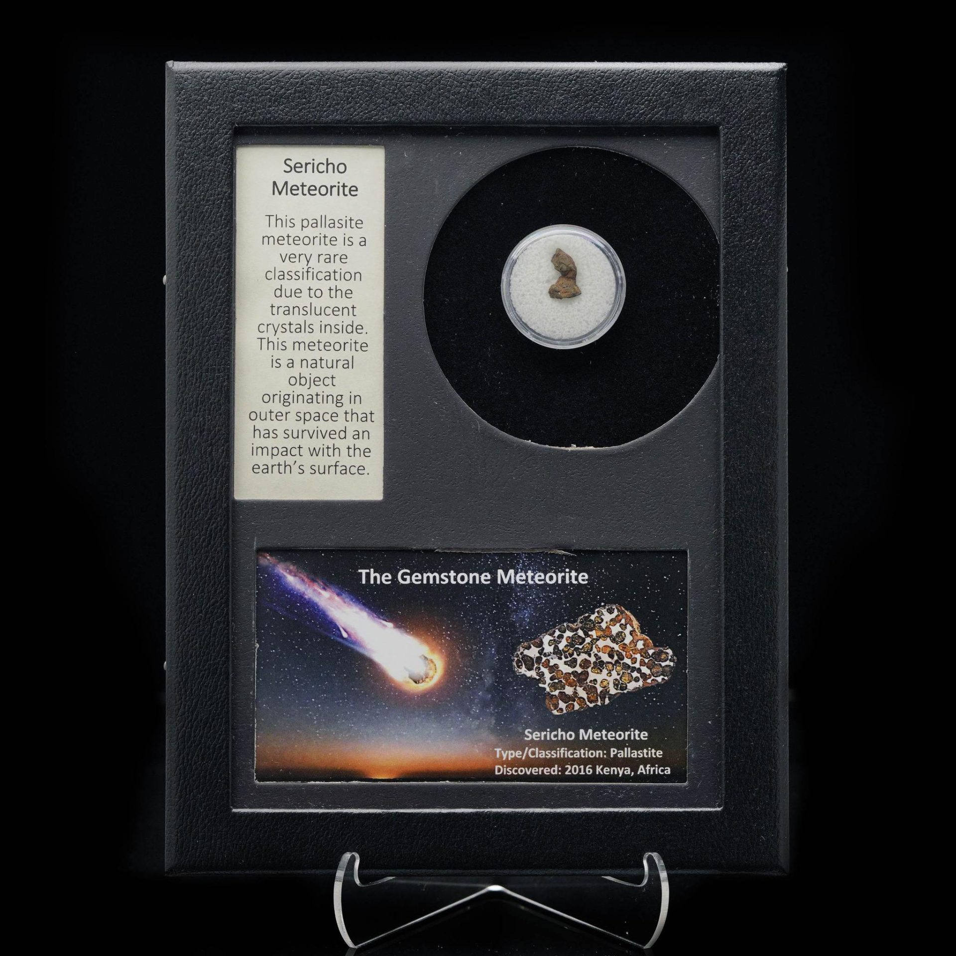 Sericho Pallasite Meteorite in Collector’s Display Box - Astro West