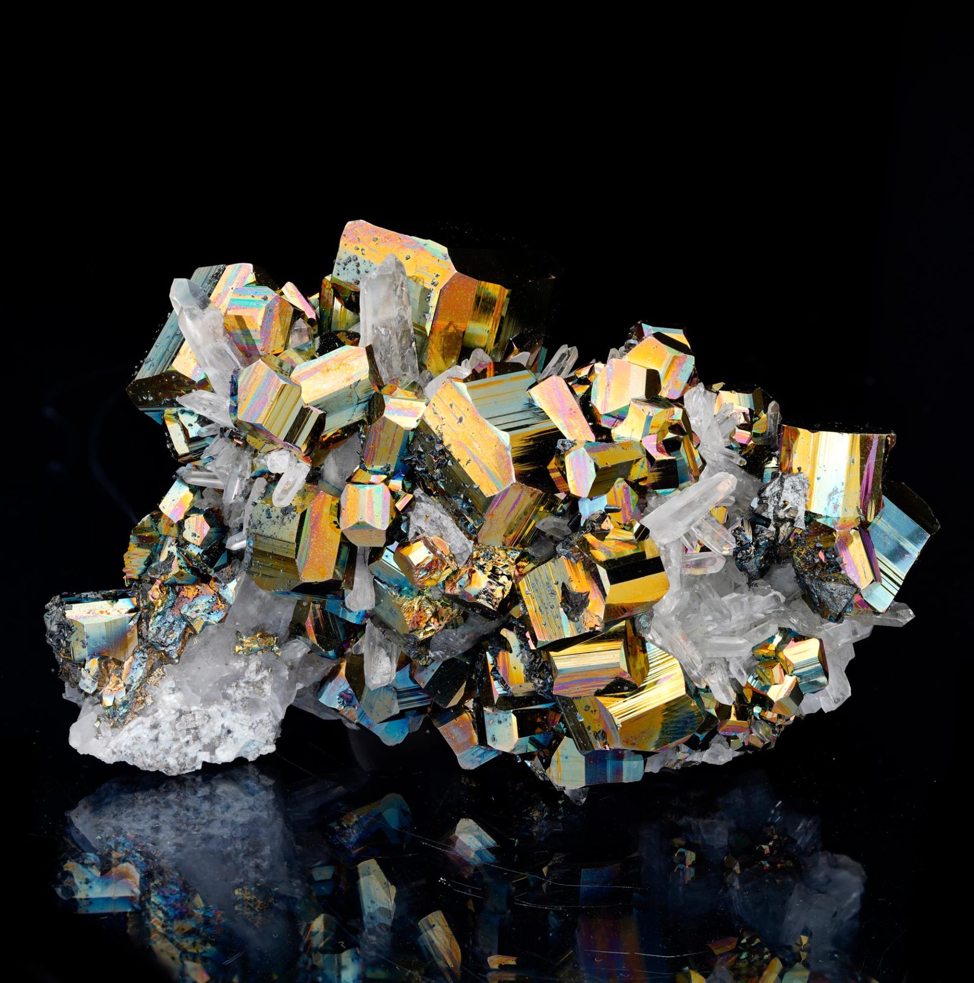Pyrite on Quartz From Indonesia - Astro West